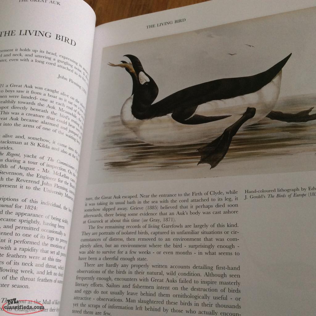 Fuller, The Great Auk - St. Johns, Newfoundland Labrador | NL Classifieds