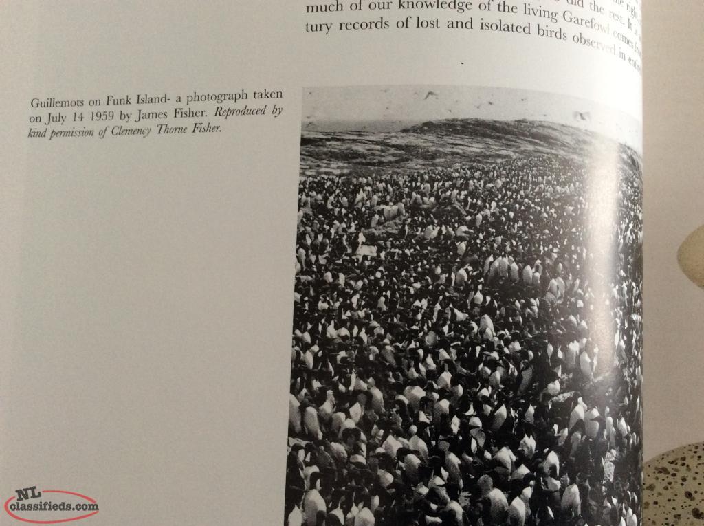 Fuller, The Great Auk - St. Johns, Newfoundland Labrador | NL Classifieds