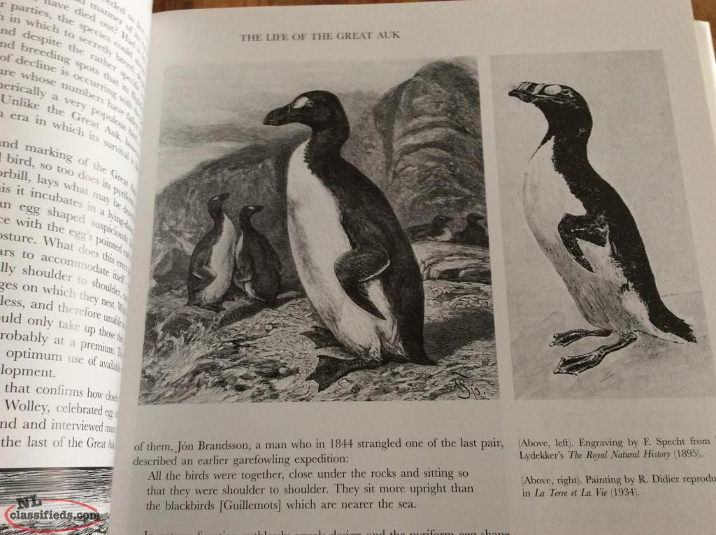 Fuller, The Great Auk - St. Johns, Newfoundland Labrador | NL Classifieds