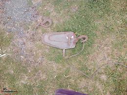 Tur-fur - Avondale, Newfoundland Labrador | NL Classifieds