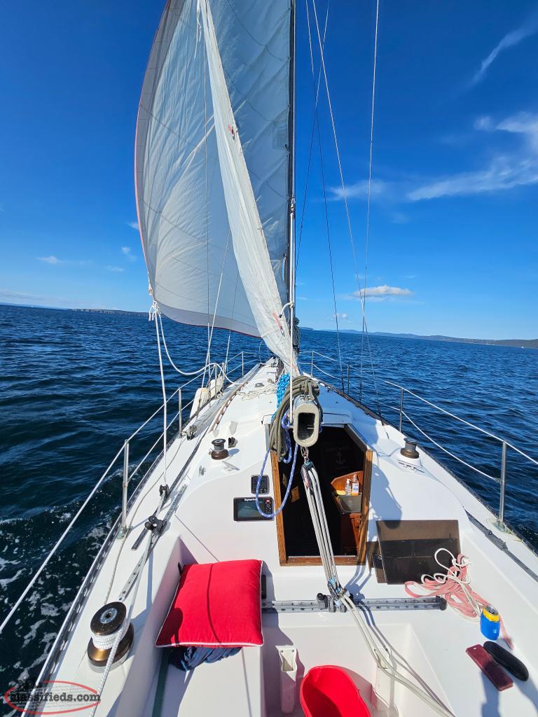 33' Viking - C&C Sailboat - Manuals, Newfoundland Labrador | NL Classifieds