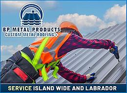 Arc Snow Plow | Free Classifieds! Buy a car or truck, sell your home ...