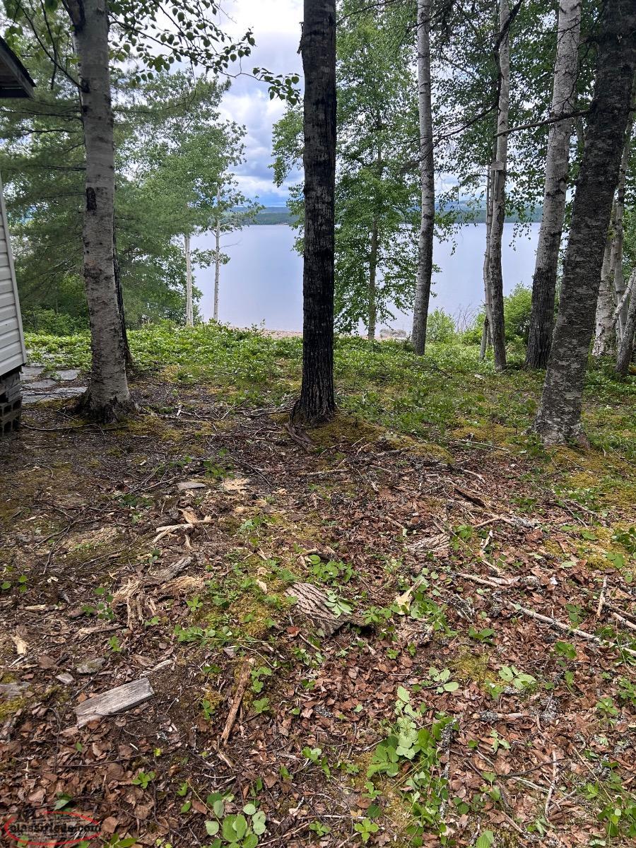 Remote Cabin for sale on gander lake - Glenwood, Newfoundland Labrador ...
