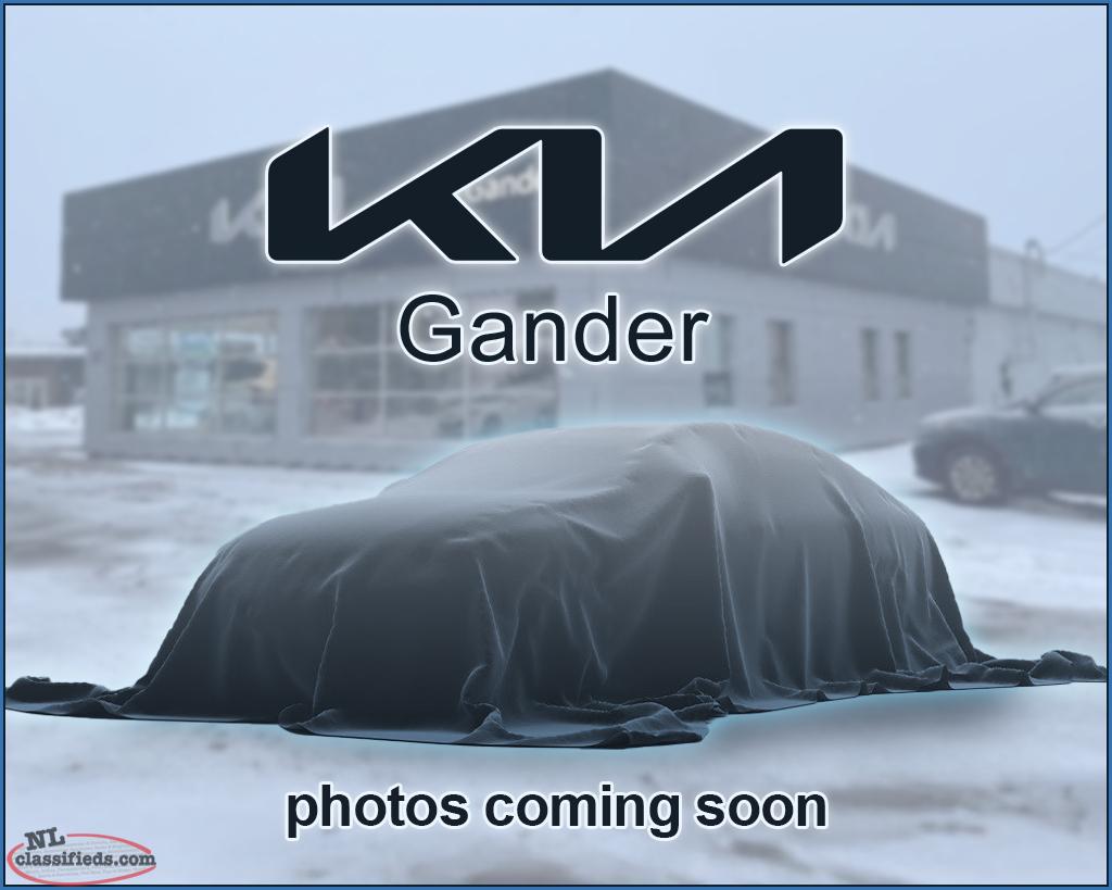 2017 Ford Expedition Max Limited - Gander, Newfoundland Labrador | NL ...