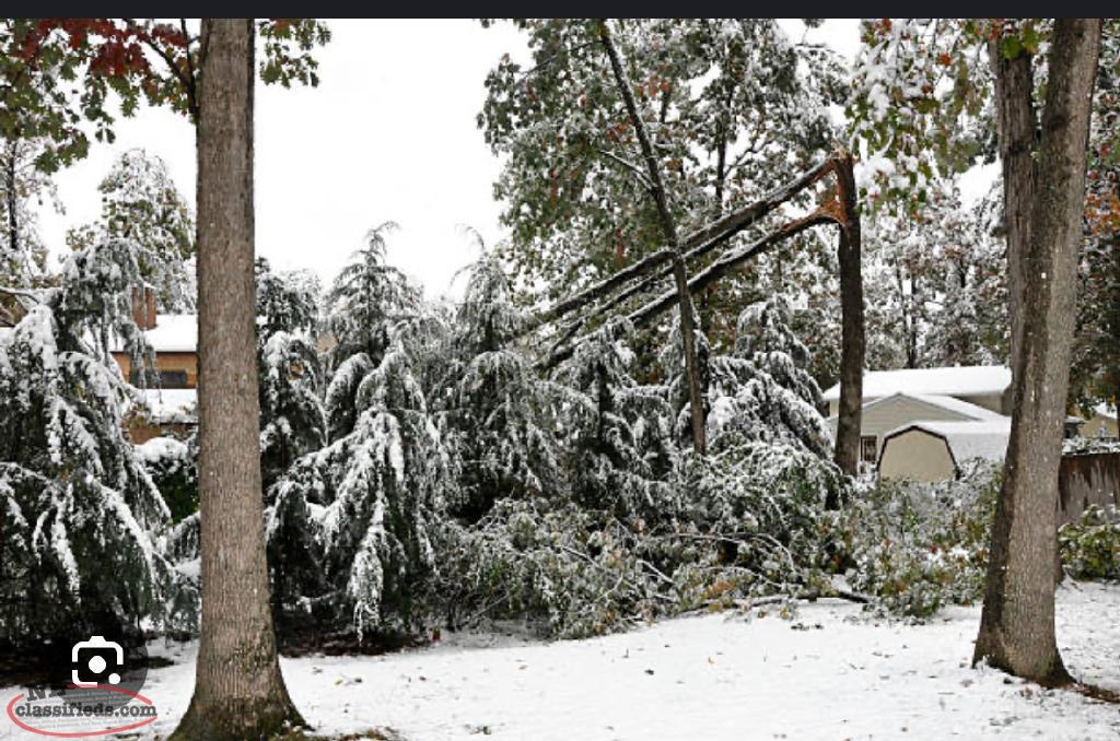 Storm Clean Up - Torbay, Newfoundland Labrador | NL Classifieds