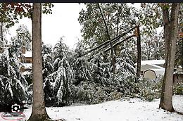 Storm Clean Up - Torbay, Newfoundland Labrador | NL Classifieds