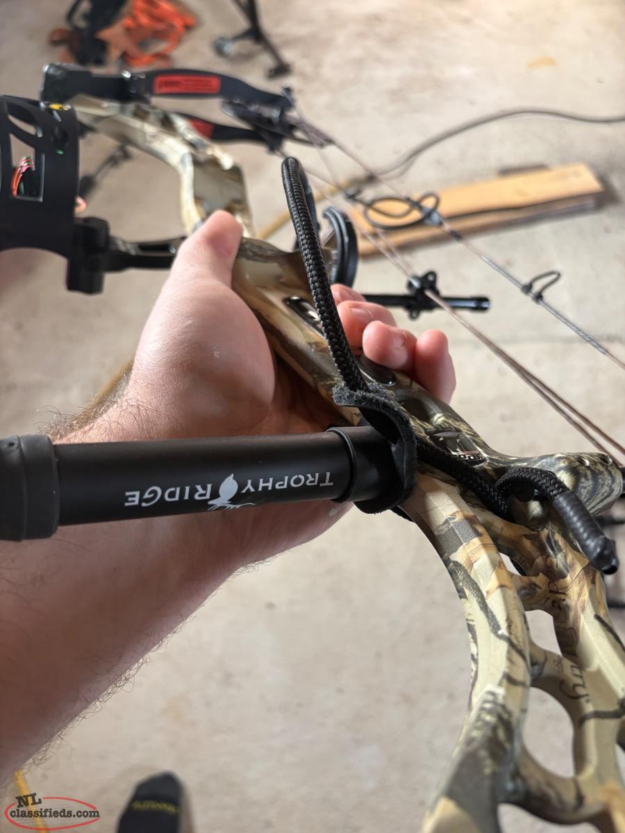 Bear vast bow - Dildo, Newfoundland Labrador | NL Classifieds