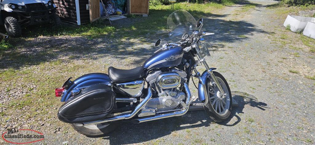 2003 Harley Davidson 883 Sportster - Brigus Junction, Newfoundland ...