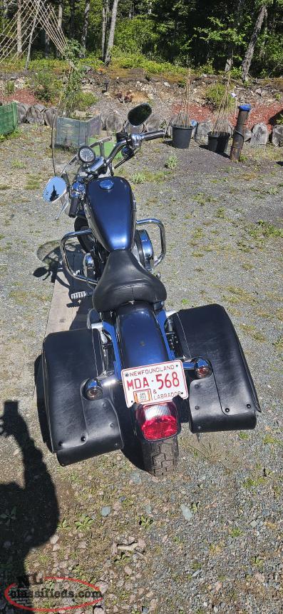 2003 Harley Davidson 883 Sportster - Brigus Junction, Newfoundland ...